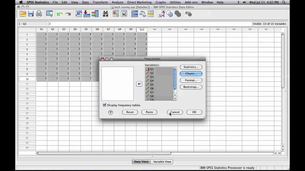 SPSS Tutorial: Mean and Frequency Analysis