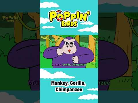 Monkey, Gorilla, Chimpanzee / POPPIN' BIRDS #POPPINBIRDS #nurseryrhymes #children #music