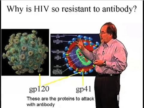 HIV lifecycle - David Baltimore (Cal Tech)