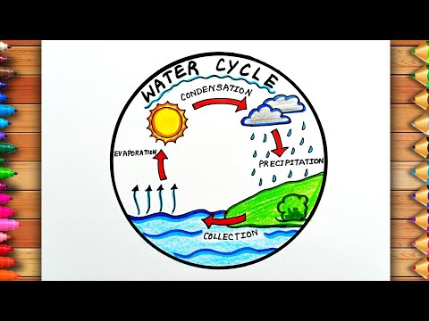 Easy Water Cycle Drawing | Water Cycle Diagram | Water Cycle Drawing | Water Cycle Circle Drawing
