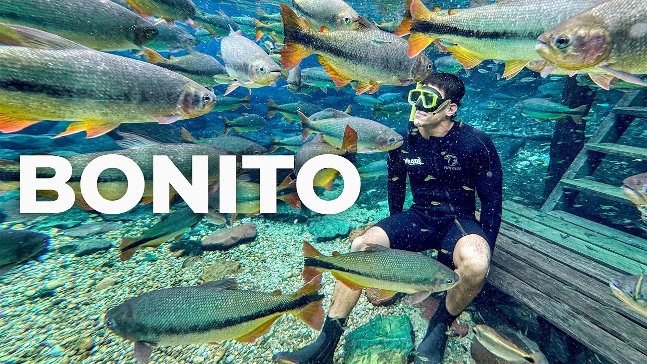 COMPLETE BONITO ITINERARY with prices: the paradise of Mato Grosso do Sul