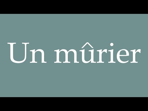 How to Pronounce ''Un mûrier'' (A mangrove tree) Correctly in French