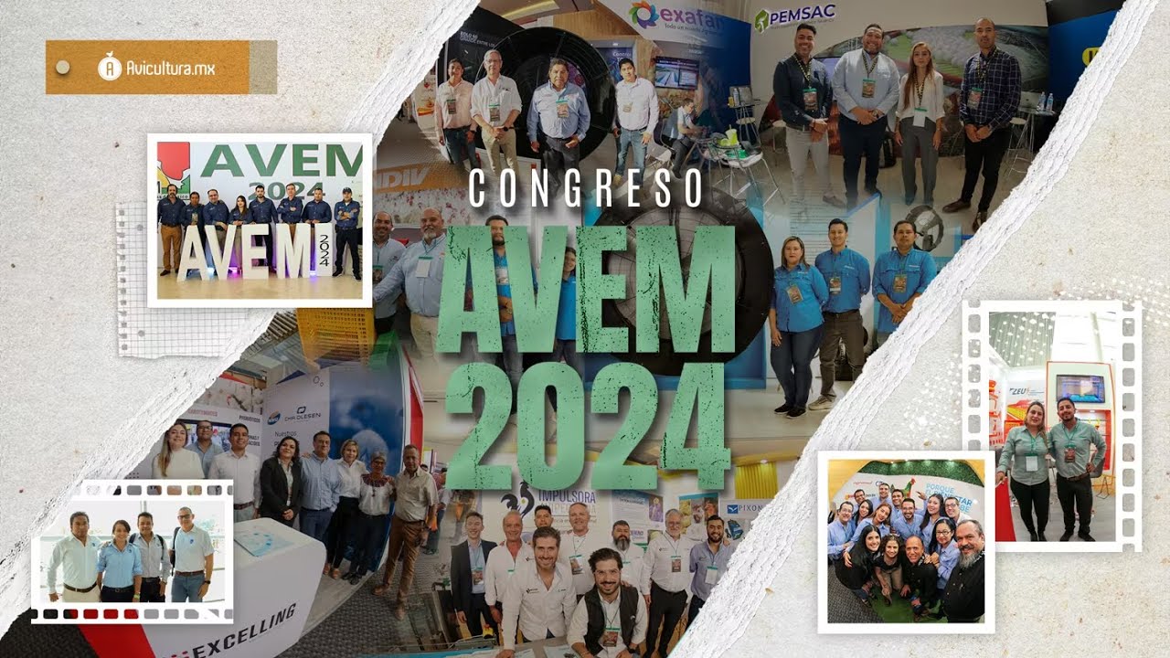 AVEM 2024 un foro que propone capacitación, divide opiniones y se consolida en la industria avícola
