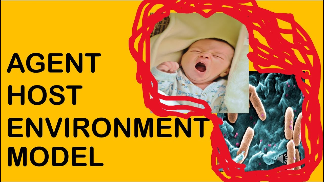 Agent-Host-Environment Model