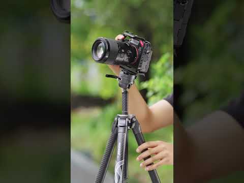 The NEEWER Carbon Fiber LT32, your lightweight and portable camera tripod of choice!