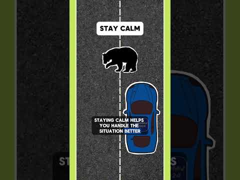 Stay safe on the road!! #dmv #dmvdrivingtest #dmvtest #quiz #tips #drivingcar