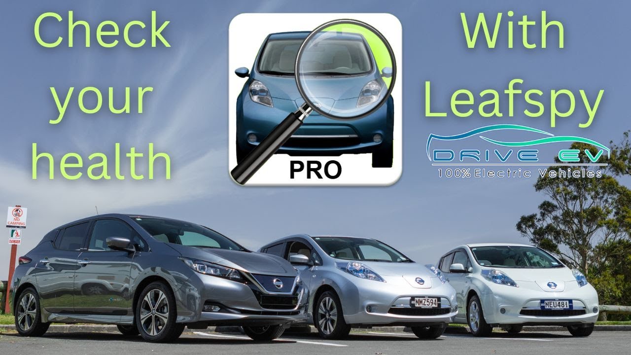 How to check your Leafs State of Health using LeafSpy