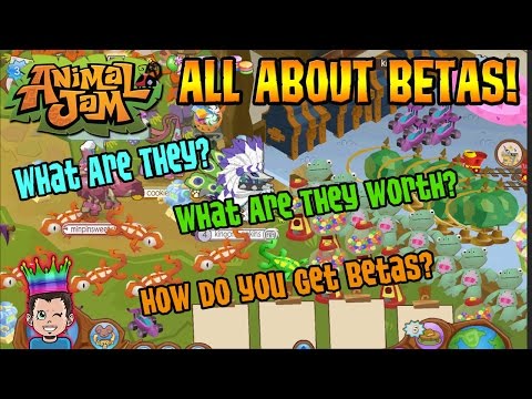 Animal Jam - ALL ABOUT BETAS! Which Are Real? How Do You Get & What They Worth? AJ Kingofshopkins