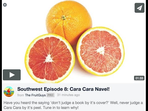 All About Cara Cara Navel Orange! Episode #8 Southwest - The FruitGuys