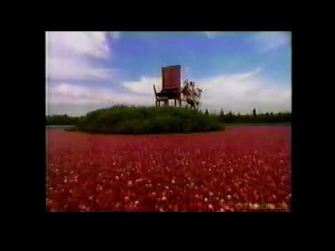 Ethan Allen 1999 Commercial | Country Colors Collection