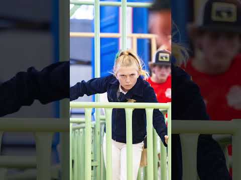 Karis with her stare down in Hog Showmanship. #showpig #stockshowlife