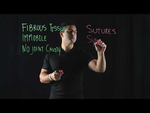 Fibrous Joints