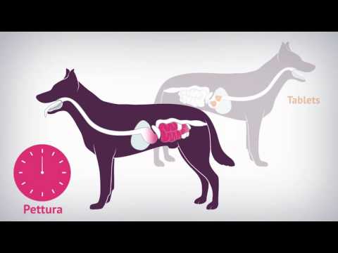 Dog Food Supplements by Pettura