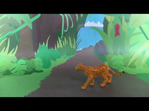 Fun Facts About African Animals - Science Kids Video with Hippo, Lion, Ostrich, Springbok & More!