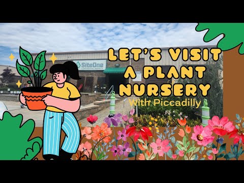 Let's Walk - Site One Landscaping Supplies, Mooresville, NC