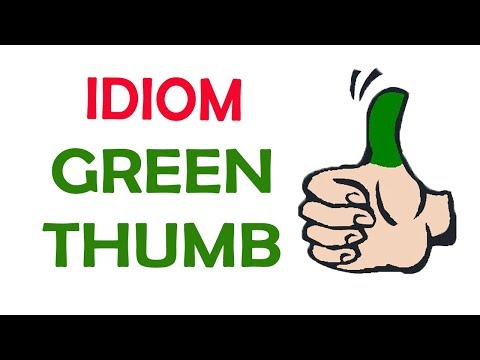 GREEN THUMB Idiom Meaning | English Idioms in Tamil | IDIOM #03