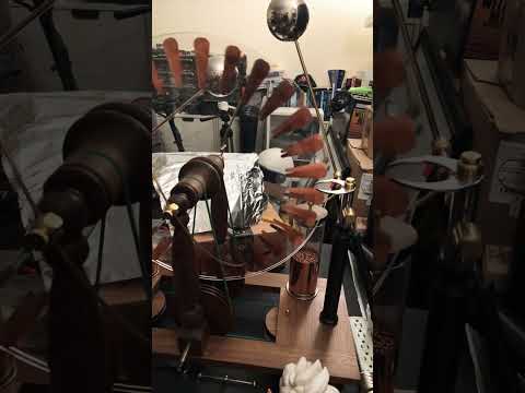 wimshurst machine gravity and magnetism are properties of electricity (260kv+/cm2+counter rotation)