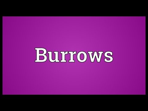 Burrows Meaning