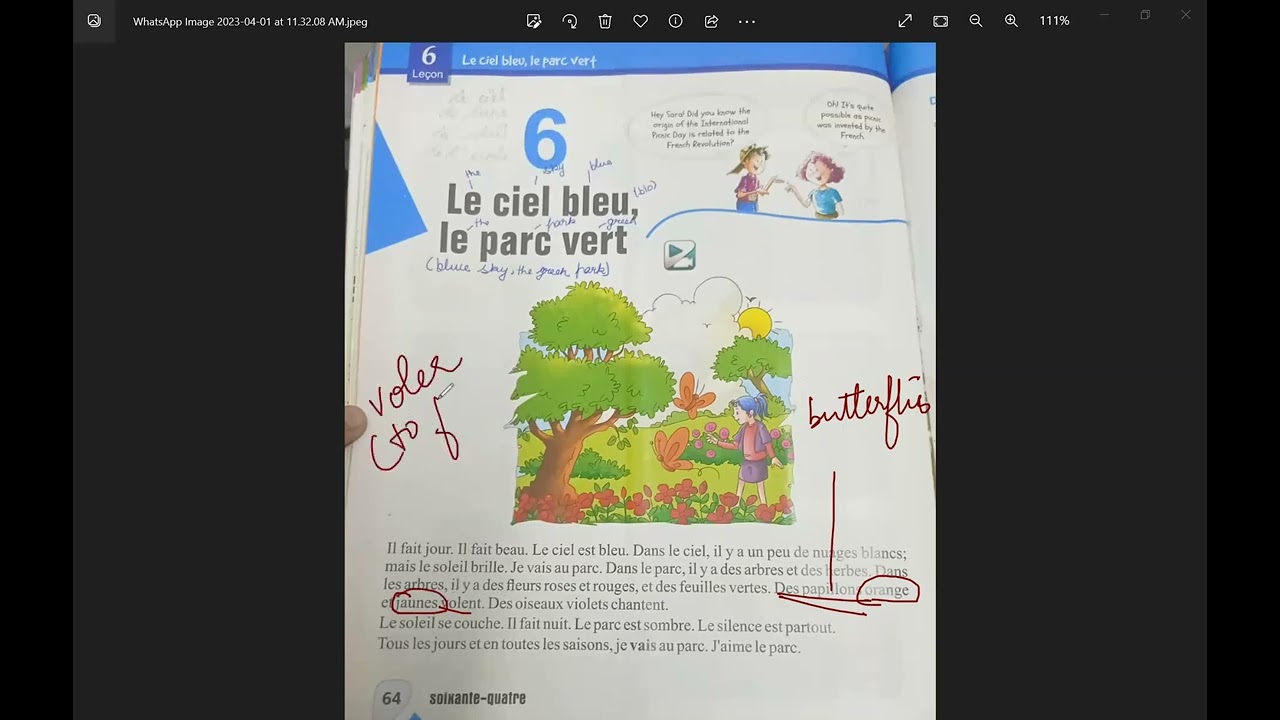 Exploring French Language: Lesson 6 Overview for Class 6 Students ...