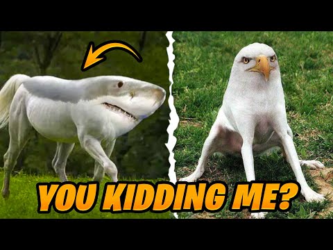 14 Most Weird Animals in the World | Strangest Animals Ever!
