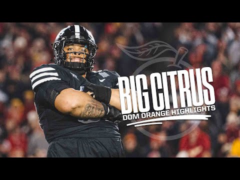 Domonique Orange 2026 NFL Draft Profile, Stats, and Projections | NFL ...