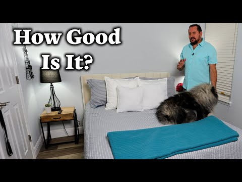 Reviewed: Zavoter Queen Upholstered Platform Bed Frame with Headboard