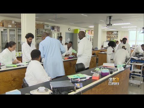 Free Job Training Program Helps Adults Get Lab Tech Jobs