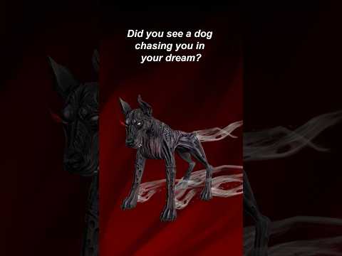 The Worst Dream in Islam? 🐕🦺 | Dog Dream Meaning | Shocking Islamic Meaning!