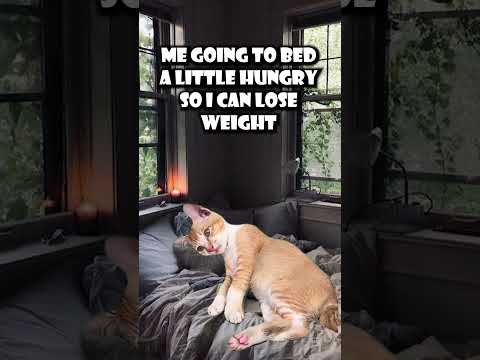 Weight loss struggles :) #fitness #gym #gymlife #bodybuilding #cat #catmemes #shorts #weightloss