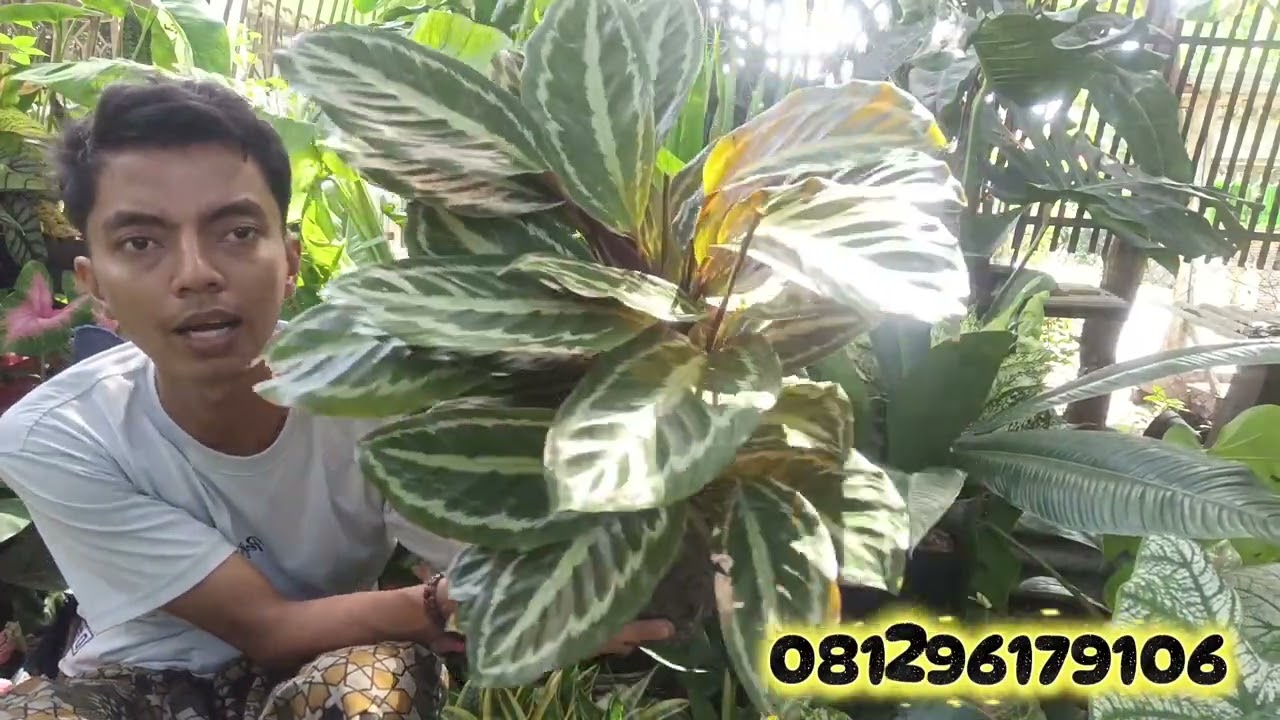 CHEAP DECORATIVE FLOWER PROMOTION, COD AVAILABLE