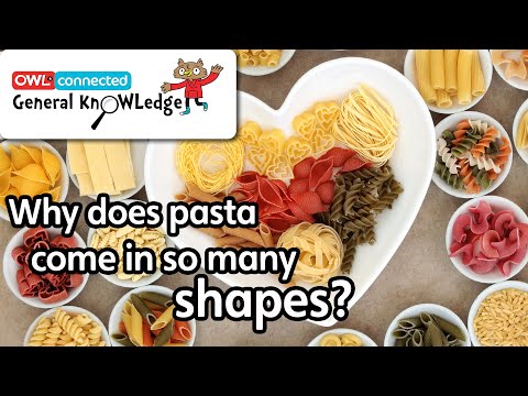 Why does pasta come in so many different shapes? 🍝 | General KnOWLedge