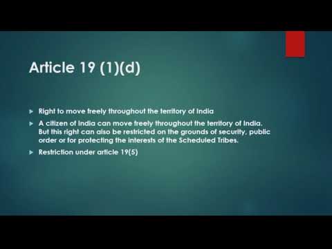 what is article 19 .......?(TAMIL) / Rights to freedom