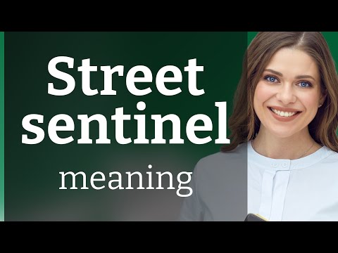Understanding the Phrase "Street Sentinel": A Guide for English Learners