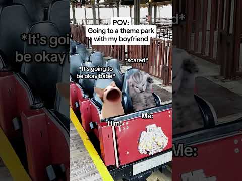 CAT MEMES 🐱Going to a theme park with my boyfriend #catmemes #relatable #relationship