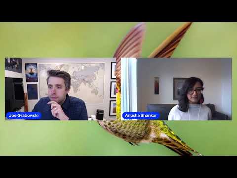 Anusha Shankar | Studying Hummingbirds