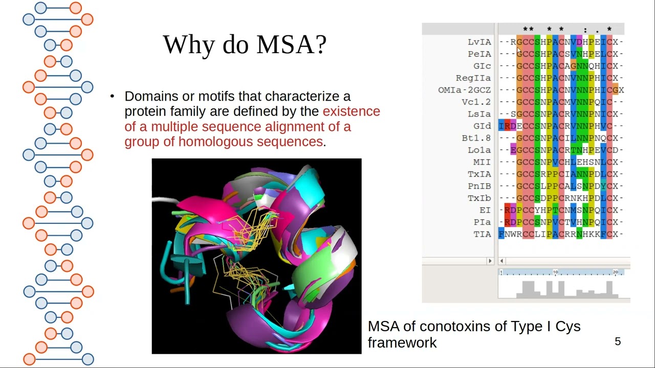 Multiple Sequence Alignment 1
