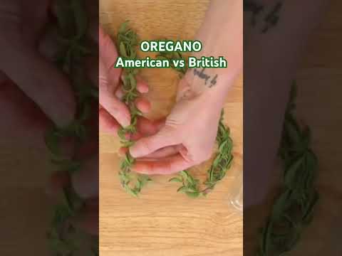 OREGANO: American vs British Pronunciation
