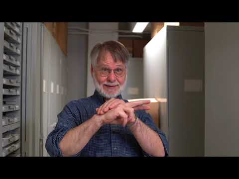 Ask A Scientist - Are Slugs Just Snails with their Shells Taken Off?