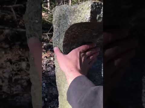 Stonework at the Coastal Maine Botanical Gardens