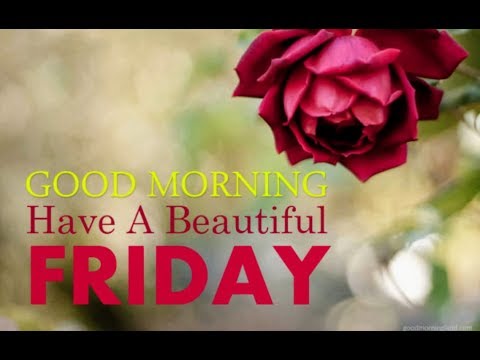 Good morning Friday images, best good morning images , whatsapp images and beautiful flowers images
