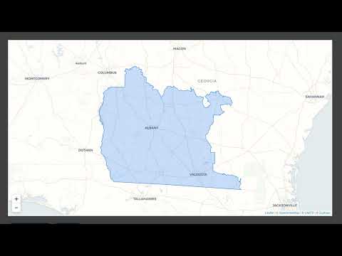229 Area Code (Georgia) Social & Economic Profile
