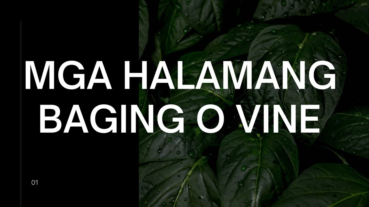 Halimbawa Ng Halamang Dahon - mga paksa