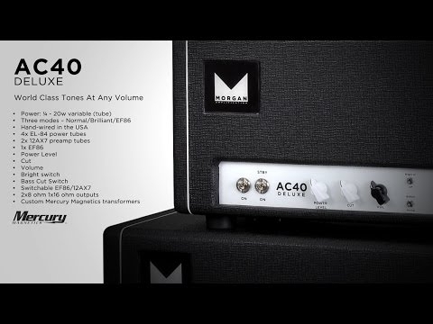 Morgan Amplification AC40 Deluxe Head | Reverb