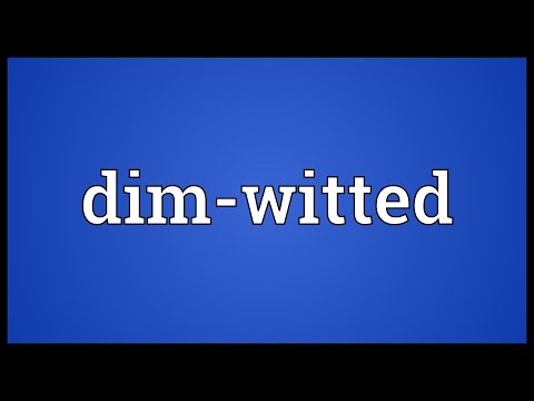 Dim-witted Meaning