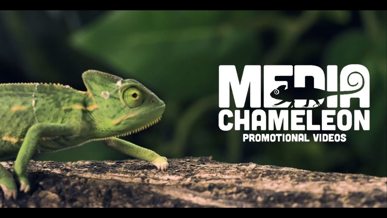 Promotional Videos - Our Previous Clients