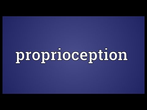Proprioception Meaning