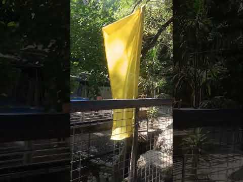 dela peña farm and resort San juan