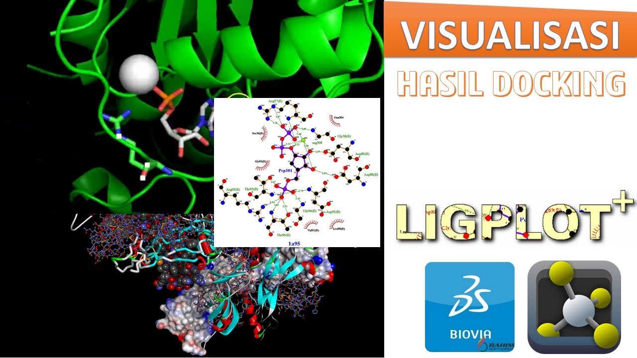 Bioinformatics 15: Tutorial Visualisasi hasil docking menggunakan software pymol, DS dan Ligplot