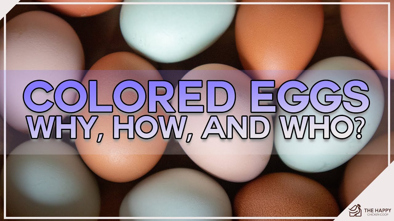 Colored Eggs Why, How, and Who