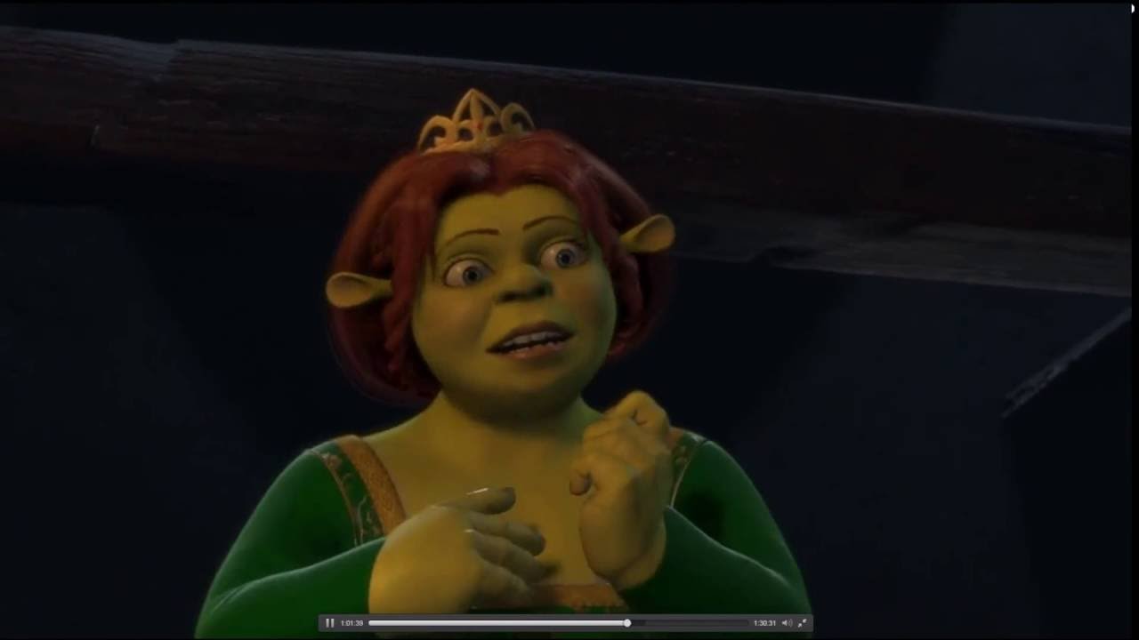 Shrek : Donkey sees Fiona's real form for the first time.
